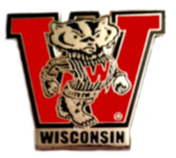 Wisconsin Badgers Pins RARE 1999 University of Wisconsin Pins Bucky ...