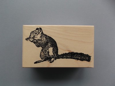 100 PROOF PRESS RUBBER STAMPS SQUIRREL WITH FINE TAIL NEW wood STAMP | eBay
