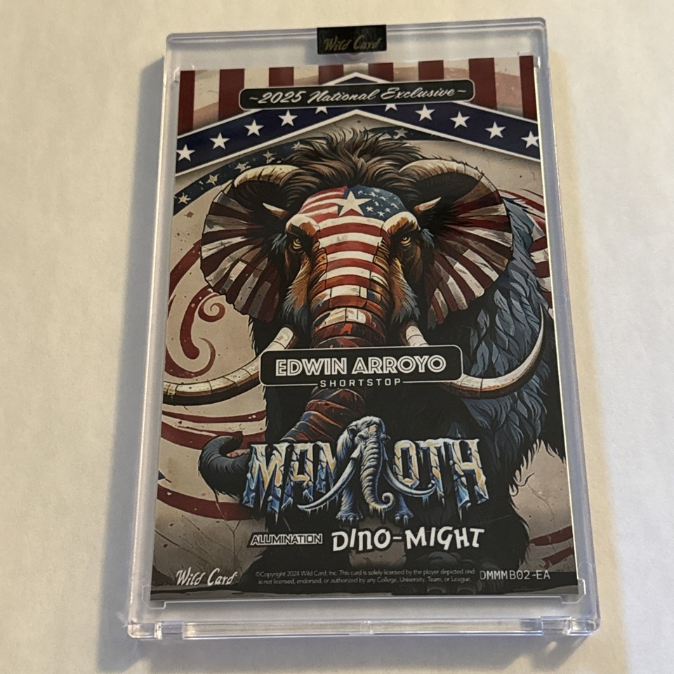 2025 Wild Card National Exclusive Mammoth Cracked Ice Baseball Edwin ...