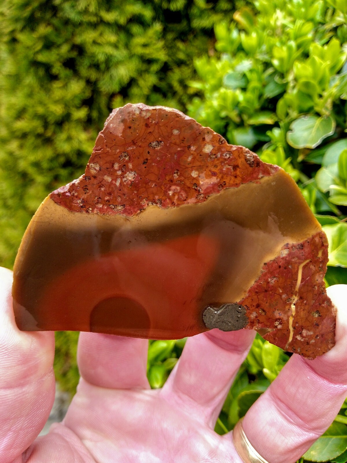 TWO (2) ATYPICAL RARE BRUNEAU IDAHO JASPER SLABS RED, YELLOW, GREEN ORB ...