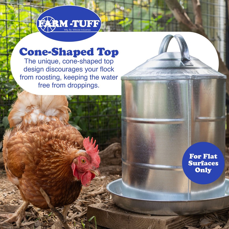 FARM-TUFF Double Wall Cone Top Galvanized Poultry Fountain, 3 Gallon ...