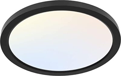 13 Inch LED Round Flat Panel Light 24W 2400lm 3000K/4000K/5000K CCT ...
