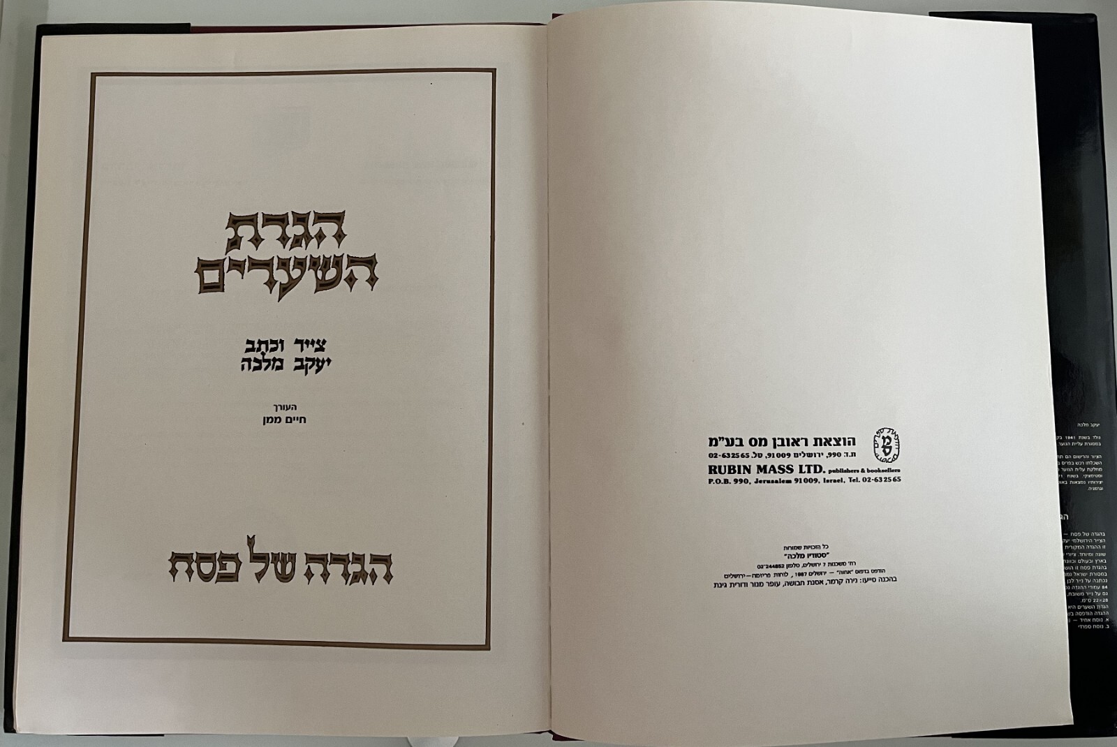 Israel Judaica Pesach Haggadah Passover Hagadah of the Gates by Jacob ...