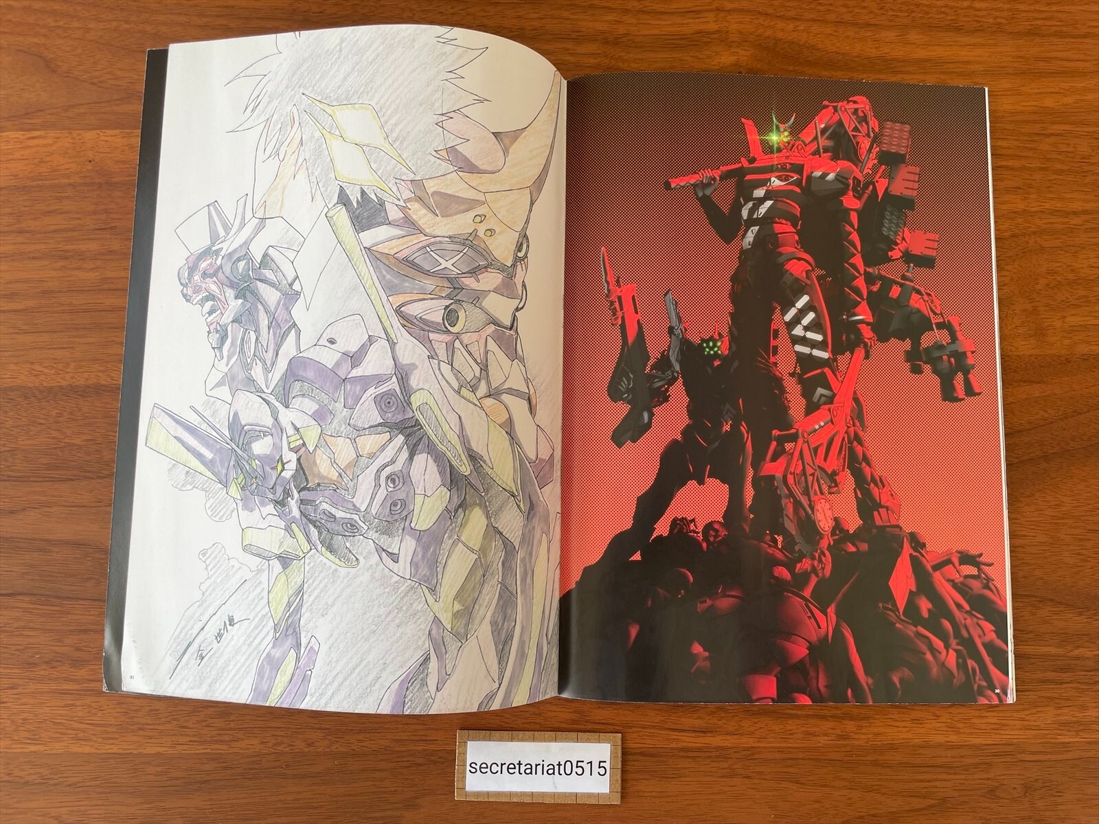 Shin Evangelion 3.0 -120min Eva Extra Extra Movie Exclusive Book Illustrations | eBay