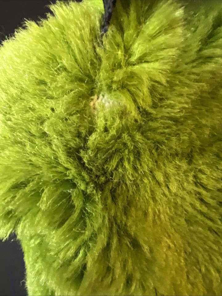 Wildkin Inc Green Frog Bag Bookbag Backpack With A Puppet Head Vintage ...