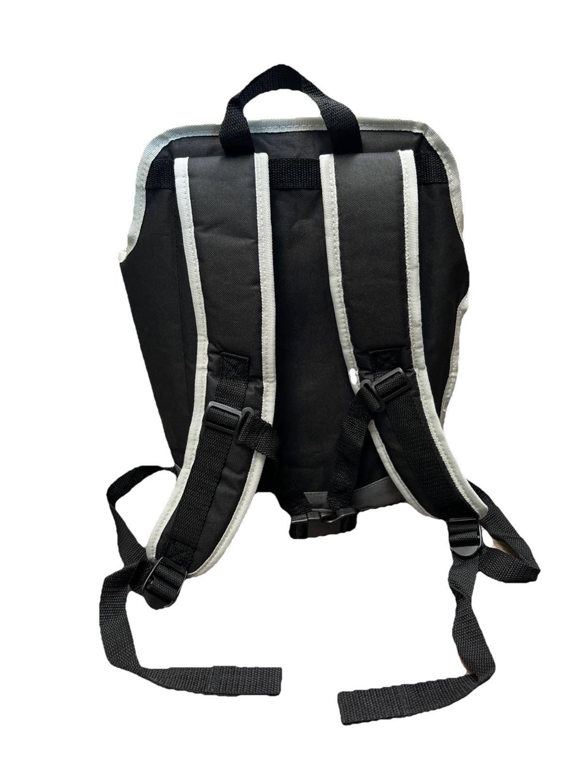 Ryobi 18 Volt 2 Gallon Chemical Sprayer Backpack Holster Straps Storage ...