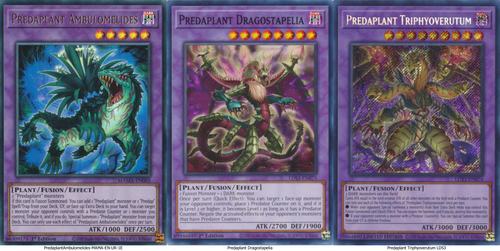 Predaplant Ambulomelide Mama Fusion : Predaplant Triphyoverutum ...