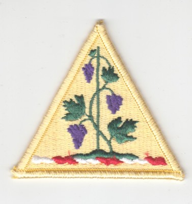 Army Patch: Connecticut National Guard Headquarters - merrowed edge | eBay