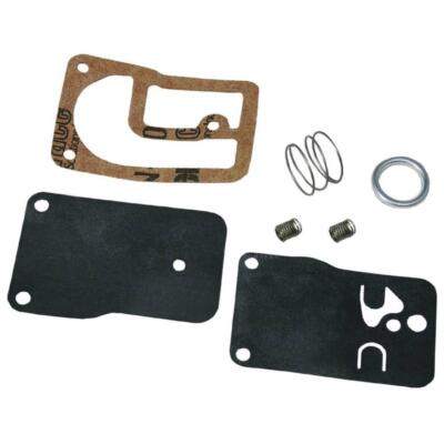 Fits Briggs and Stratton 393397 Fuel Pump Kit | eBay