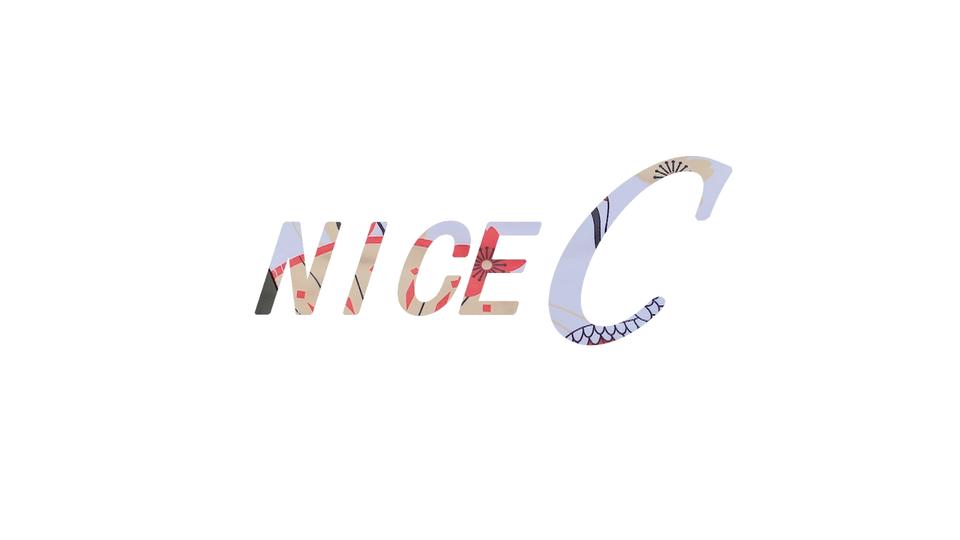 NiceC Ultralight Portable Folding Backpacking Camping Chair with 2 ...