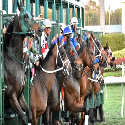 METHODE de TURF : LES PREMIERES METHODES de Roland Hubert (Courses, PMU) | eBay