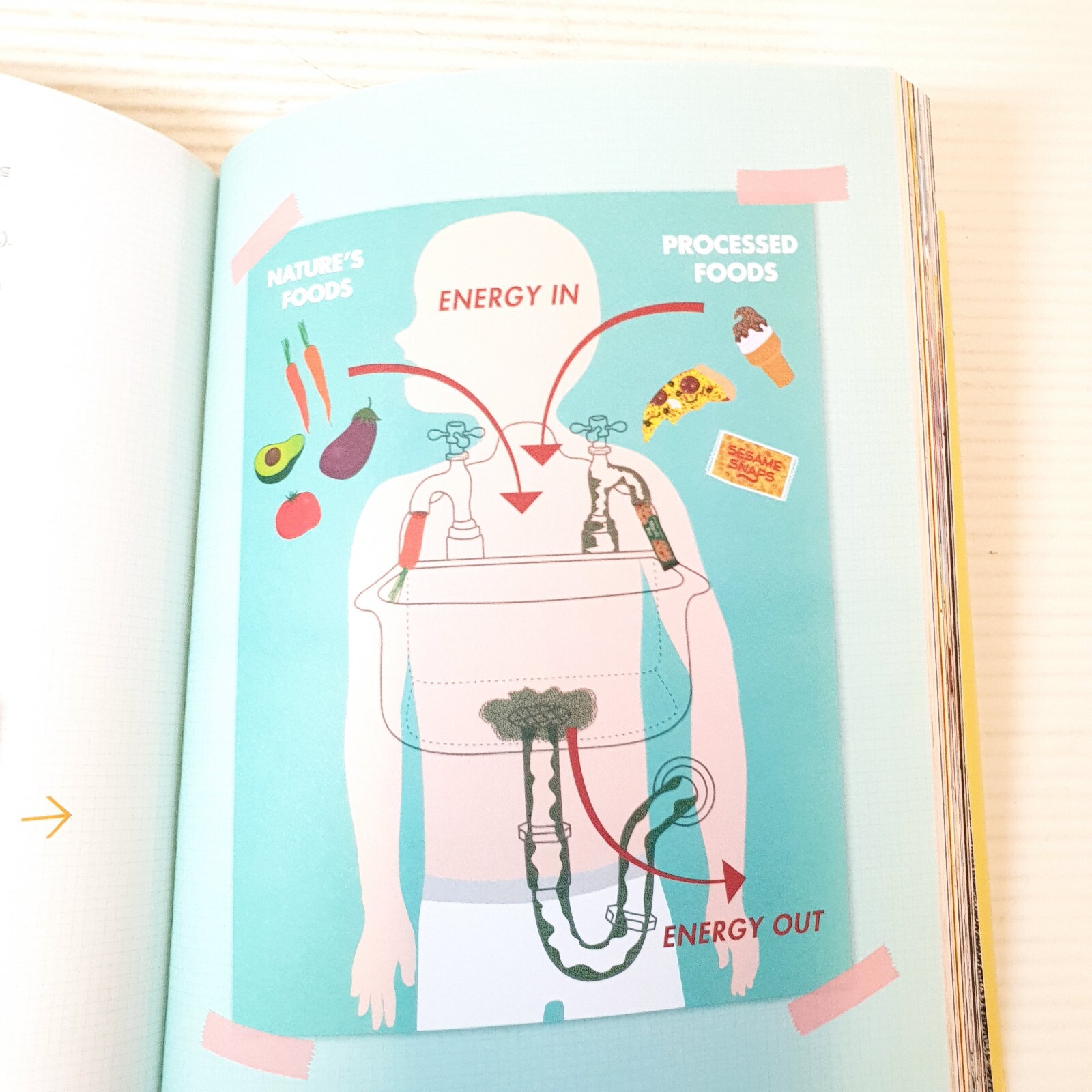That Sugar Book by Damon Gameau Heath Nutrition Diet Wellness | eBay ...