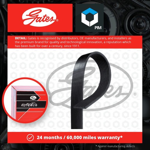 8 Rib Multi V Drive Belt K080702 Gates 11287590148 11287628658 3289279 ...