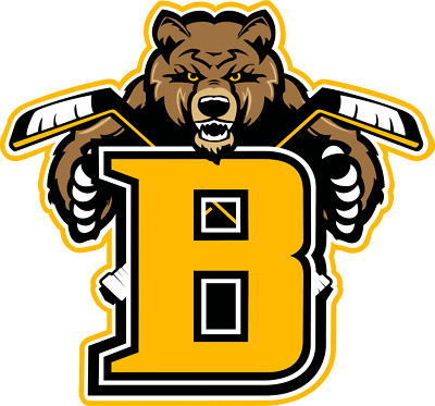 Boston Bruins sticker logo NHL weatherproof bumper vinyl decal | eBay