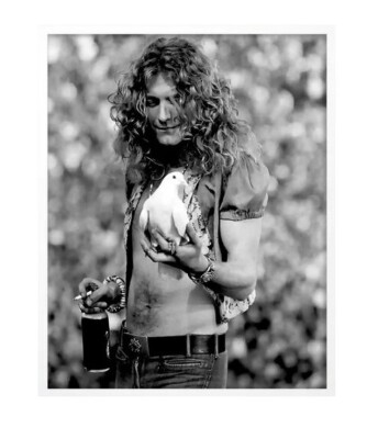Vintage Led Zeppelin Robert Plant and Dove Poster, Poster Wall Art ...