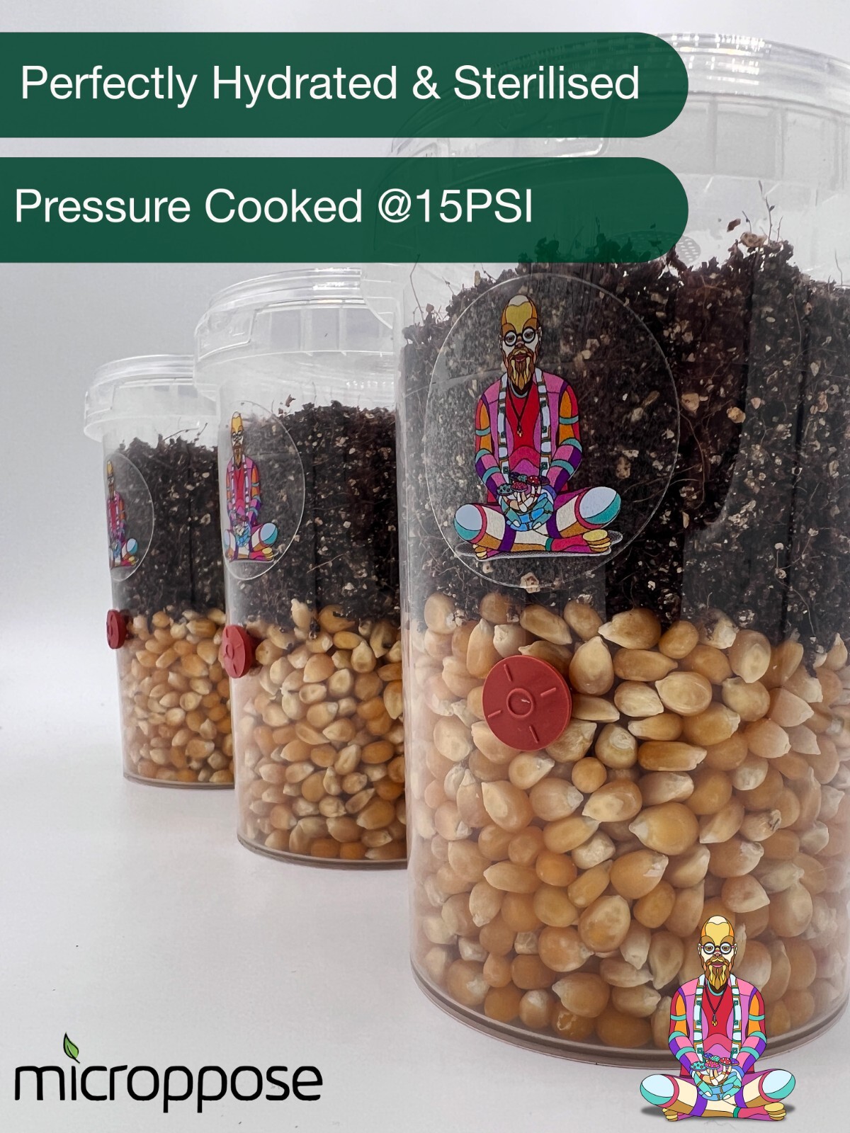 All-In-One Mushroom Grow Bag Kit 1KG Popcorn Grain Spawn & CVG ...