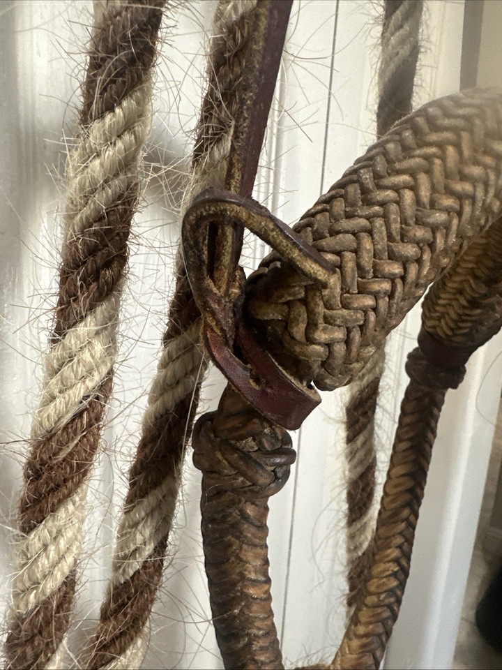Vintage Cowboy’s Hackamore Set Up Rawhide Bosal, Horsehair Mecate | eBay
