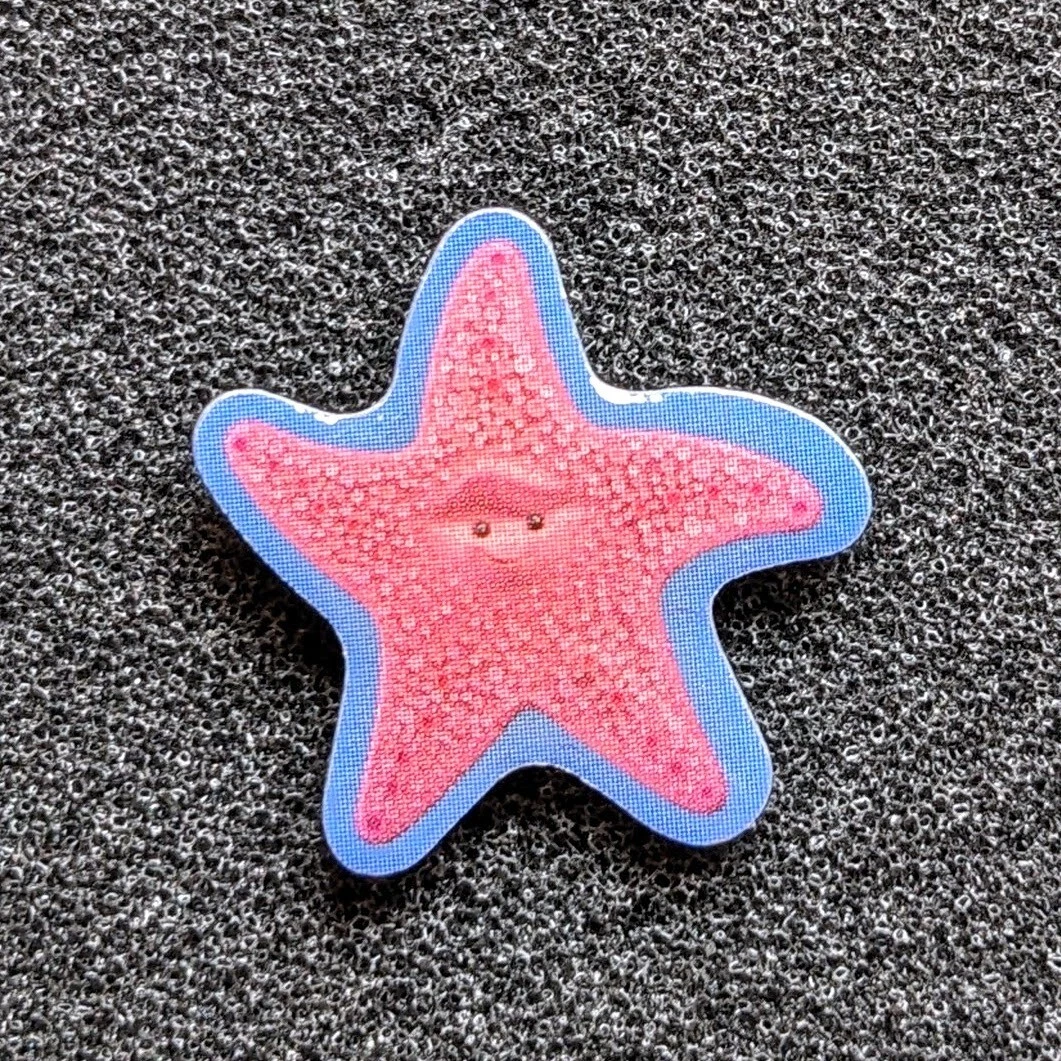 Starfish Finding Nemo