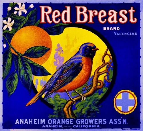 Anaheim Red Breast Bluebird Bird Orange Citrus Fruit Crate Label Art ...