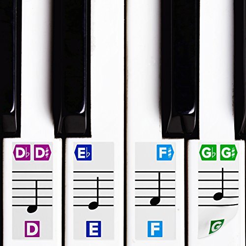 Color Piano Stickers For Keys - Removable W/Double Layer Coating For 49 ...
