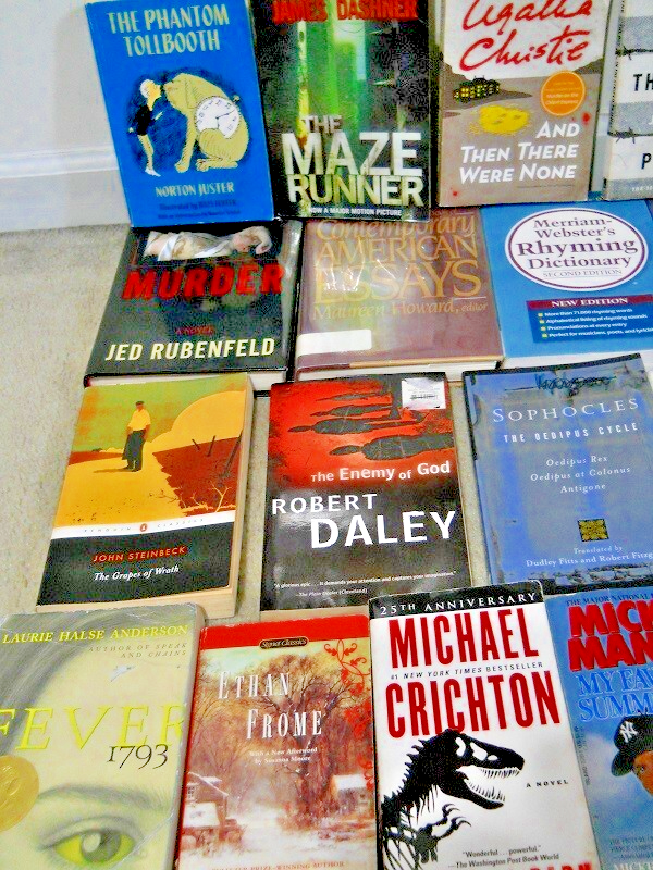 Huge Wholesale Collection of 22- BOOKS/ NOVELS, Essays- Famous Authors ...