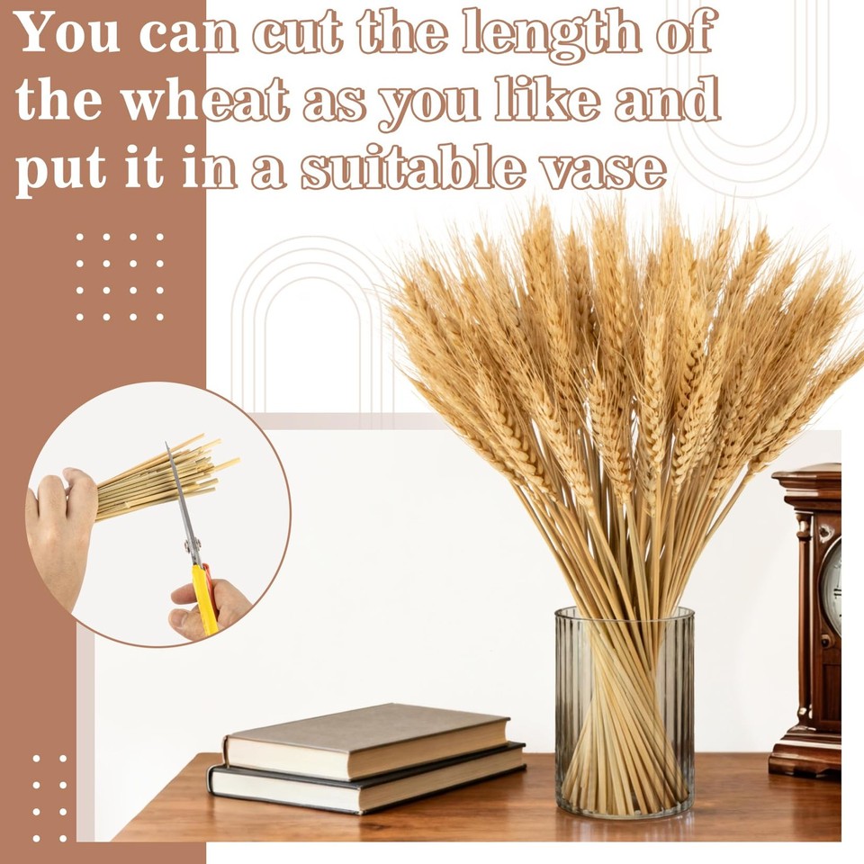 100 Stems Dried Wheat Stalks for Decor - Sheaves Grass Natural Bunch ...