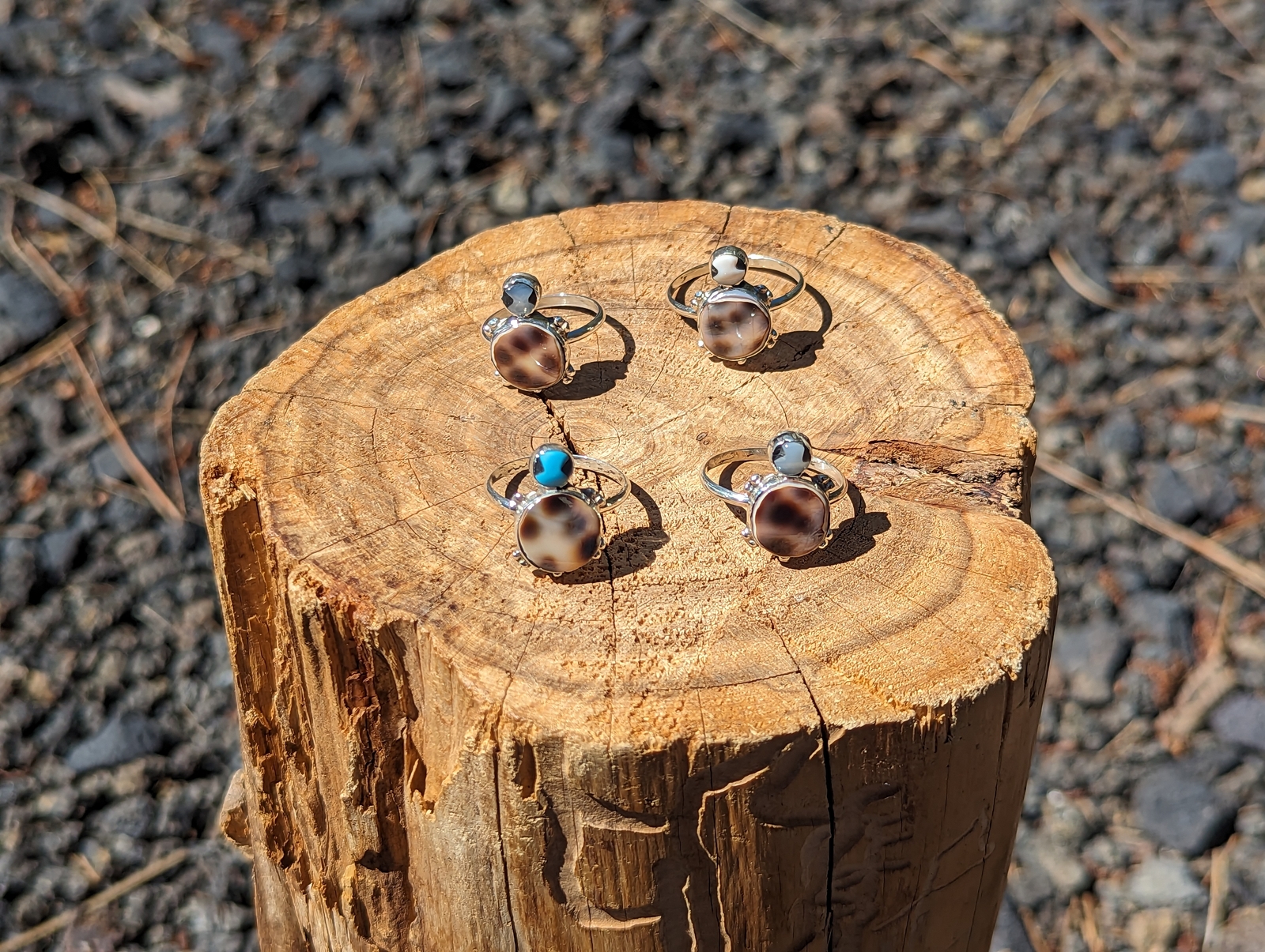 Zuni Cowrie Shell Inlay Turtle Shape Rings Native American Handmade ...