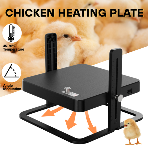 Chicken Brooder Heating Plate Adjustable Chick Coop Heater Poultry ...
