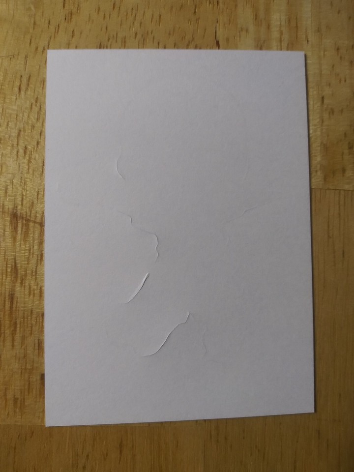 Asisat Oshoala | 2024 Parkside NWSL Volume 1 Chibi Sticker Bay FC | eBay