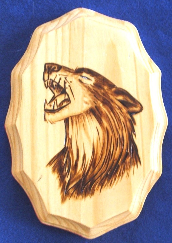 3 Oneida clans and the Overseer Wolf Bear Eagle Turtle 4 pieces Native ...