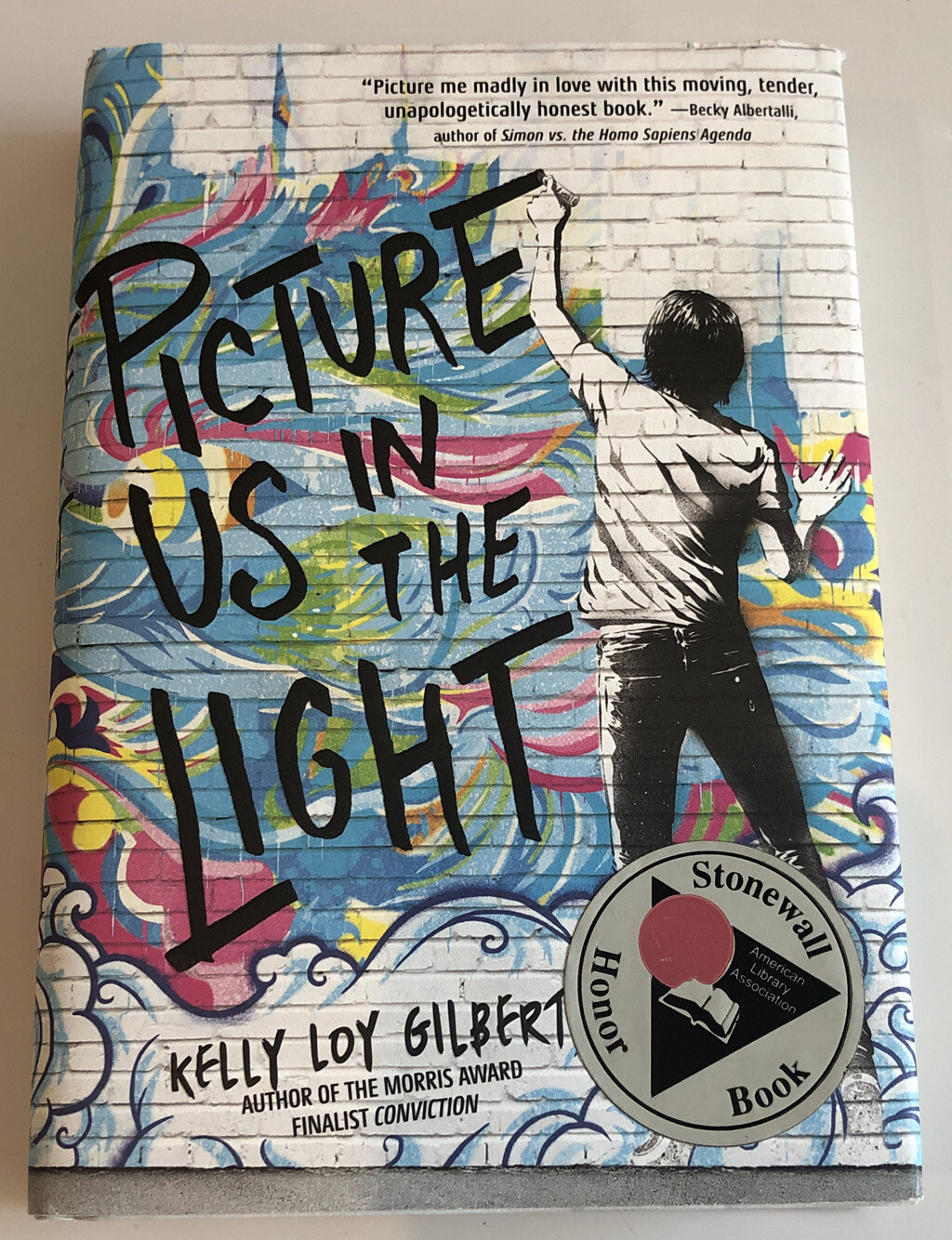 Picture Us in the Light by Kelly Loy Gilbert (English) Hardcover Book ...
