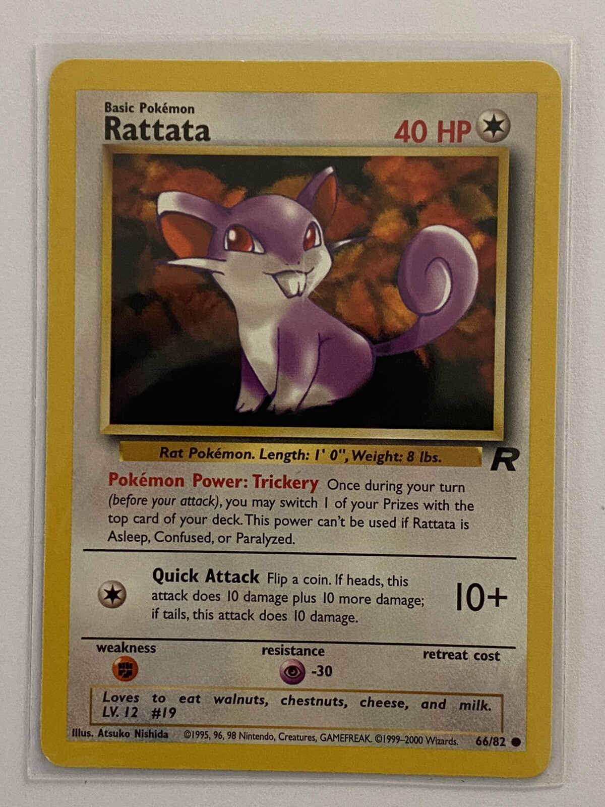 Rattata Common Pokemon Card Team Rocket 66/82 Mint | eBay Australia
