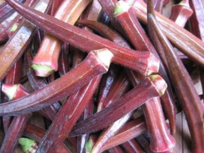 Red Burgundy Okra Seed - Southern Gumbo Garden Vegetable Seeds (0.50oz ...