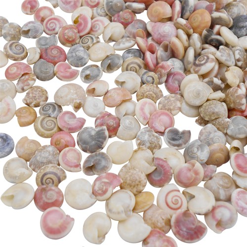 200 Mix Tiny Conch Snail Shells Seashells Beach Wedding Nautical Decor ...