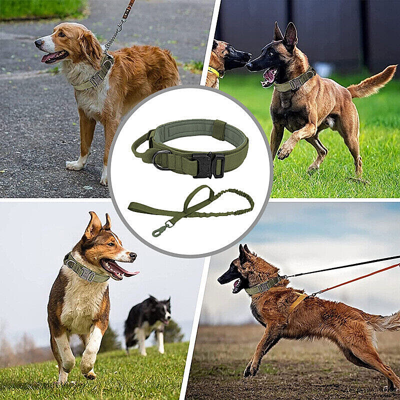 Leash + Collar Heavy Duty K9 Tactical Training Pet Dog Metal Buckle M ...