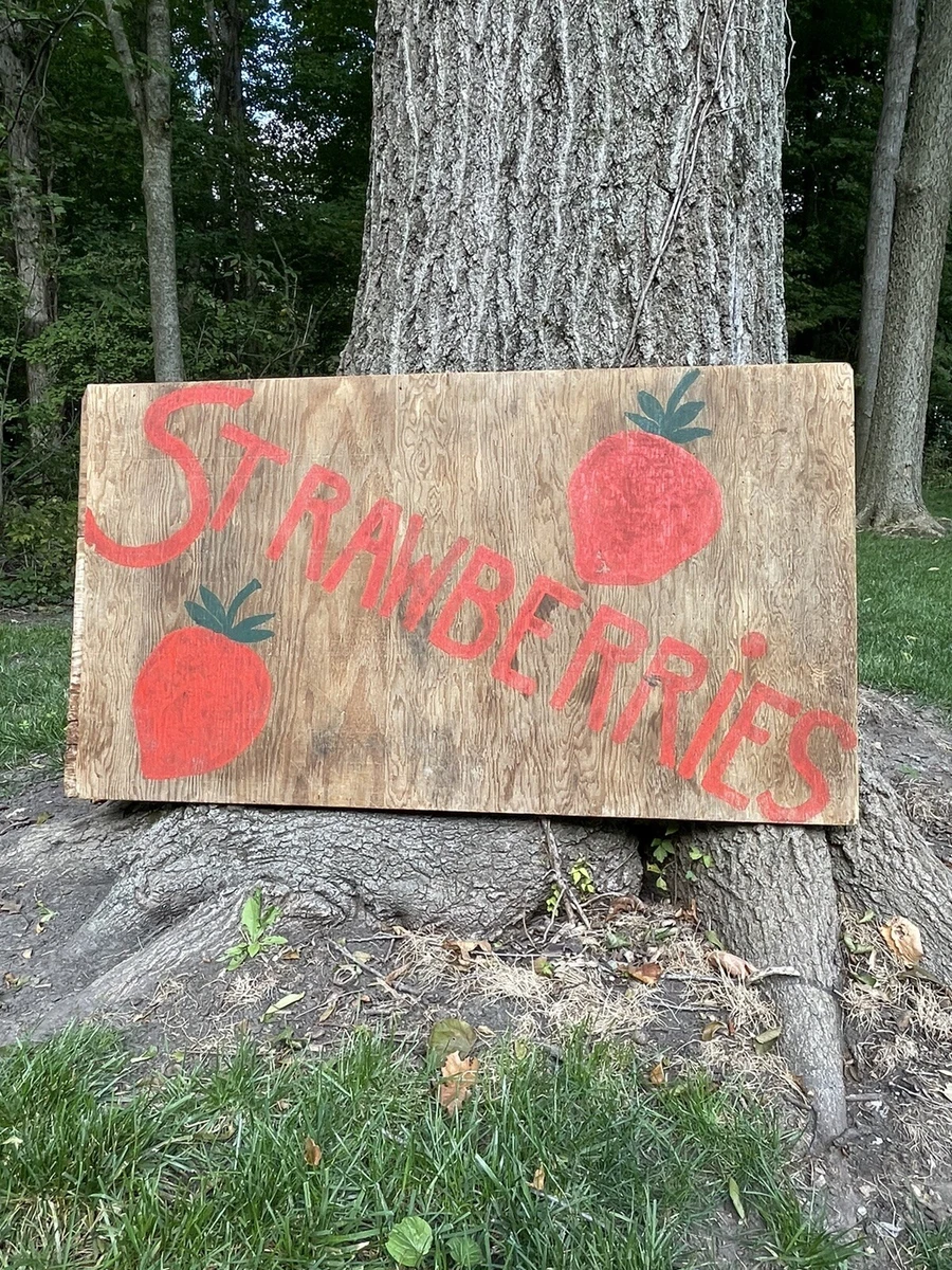 Old Painted Wooden Signs