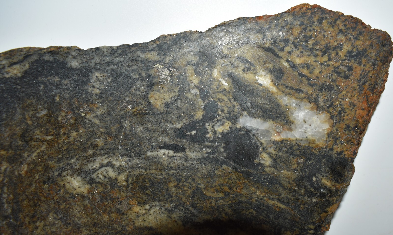 Gold Silver Ore 1800s Ore Knob Copper Mine North Carolina 9" Polished ...