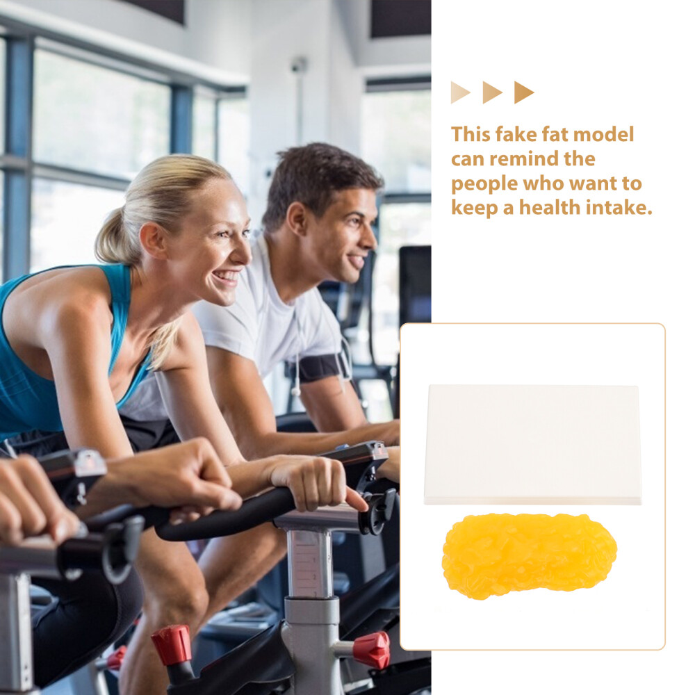 Get Fit with 1lb Human Body Fat Model Replica | eBay