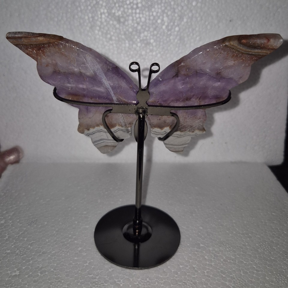 Amathyst Red Cap & Mexican Crazy Lace Agate Crystal Butterfly Carving ...