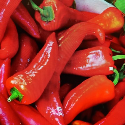 Spitz Paprika Rot 15 Samen | eBay.de