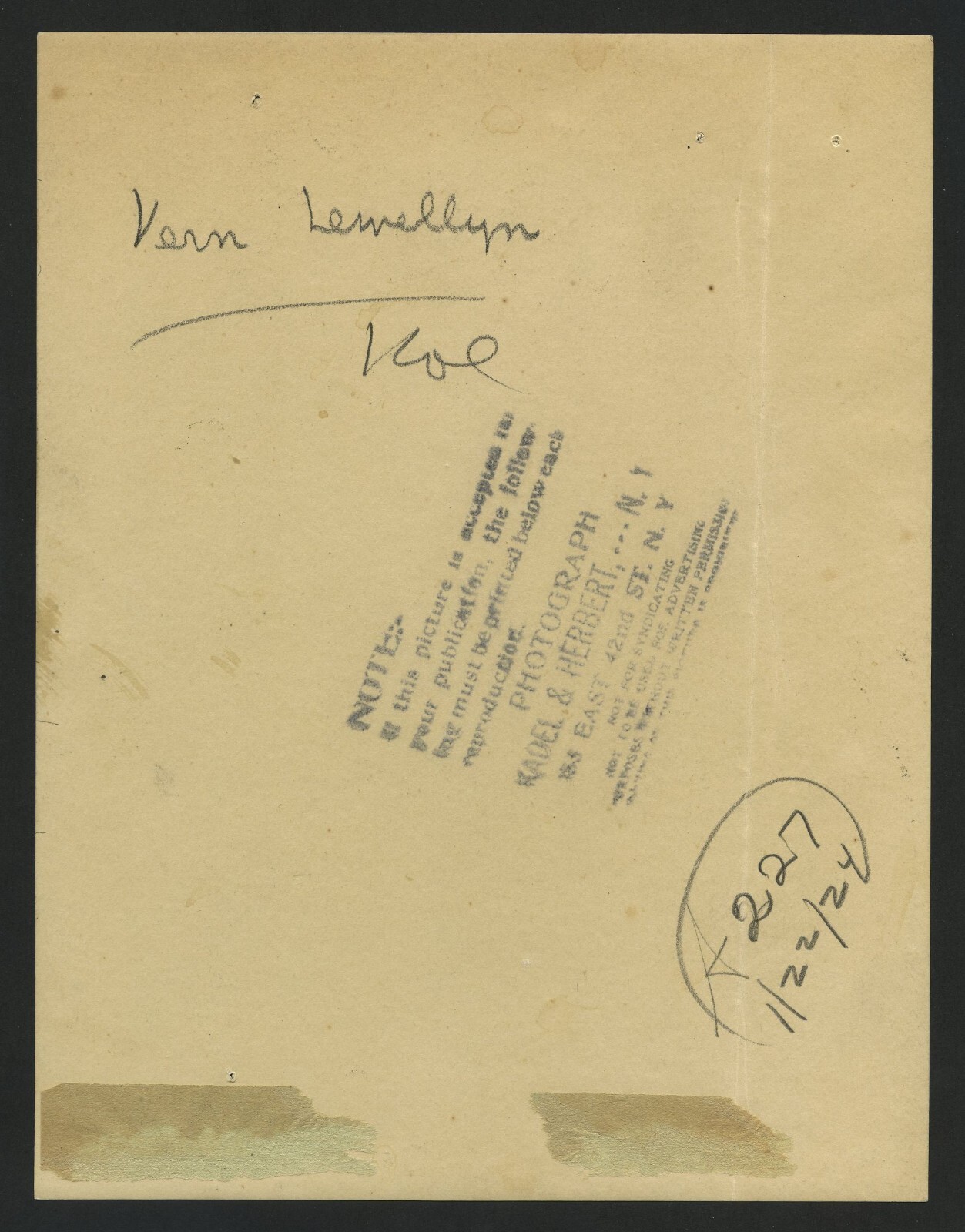 1924 VERN LEWELLEN Green Bay Packers Football Legend Vintage Photo | eBay