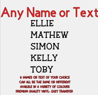 ANY NAME WORDING TEXT X5 PERSONALISED VINYL DECAL STICKER VARIETY OF ...