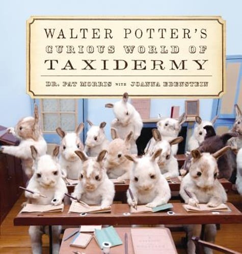Walter Potter's Curious World of Taxidermy by Pat Morris: Used ...