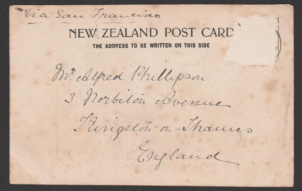 Postcard - Torea Bay, Queen Charlotte Sound, New Zealand | eBay
