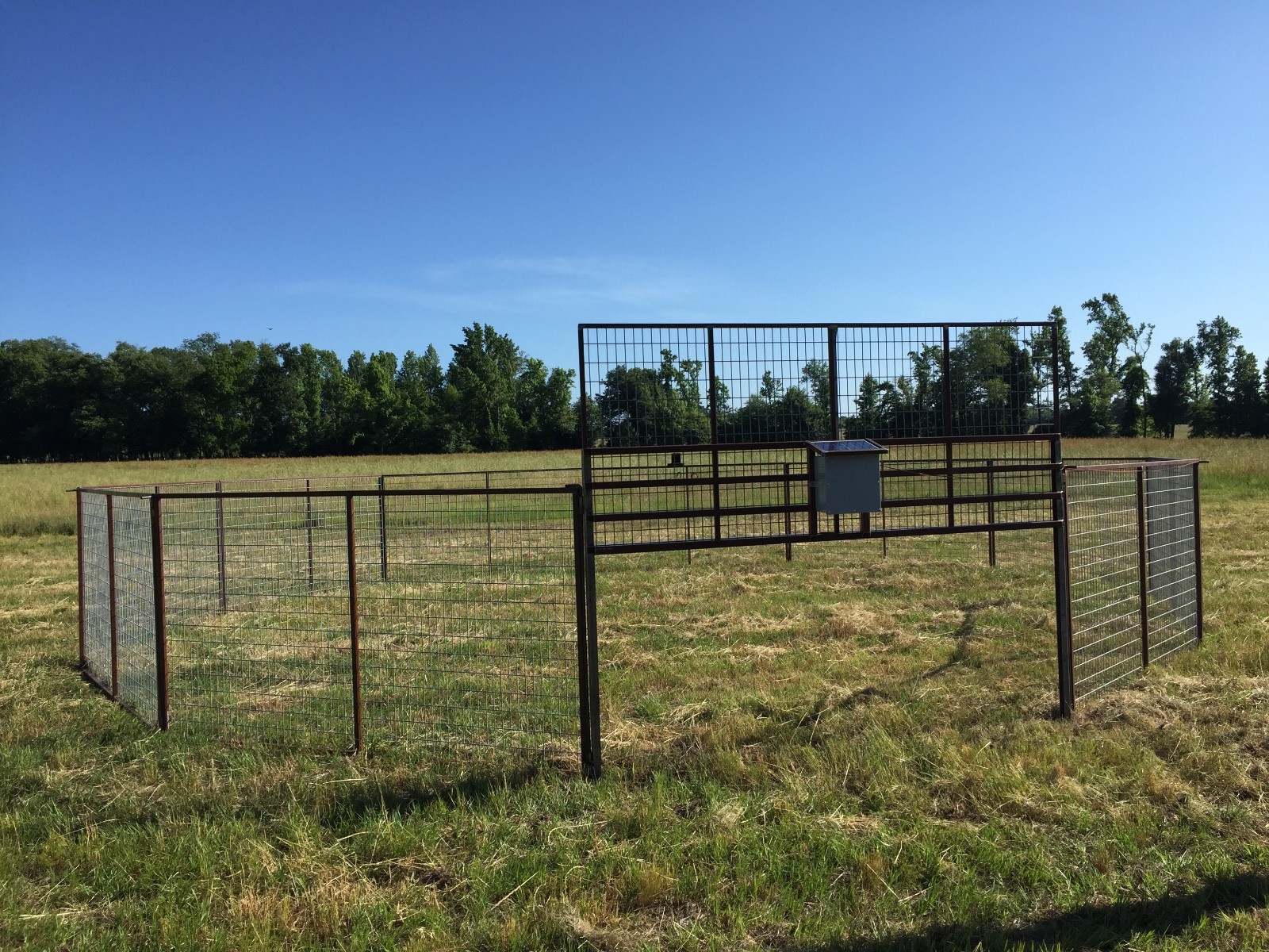 Wireless Cell Phone Activated Hog Trap (camera only) | eBay