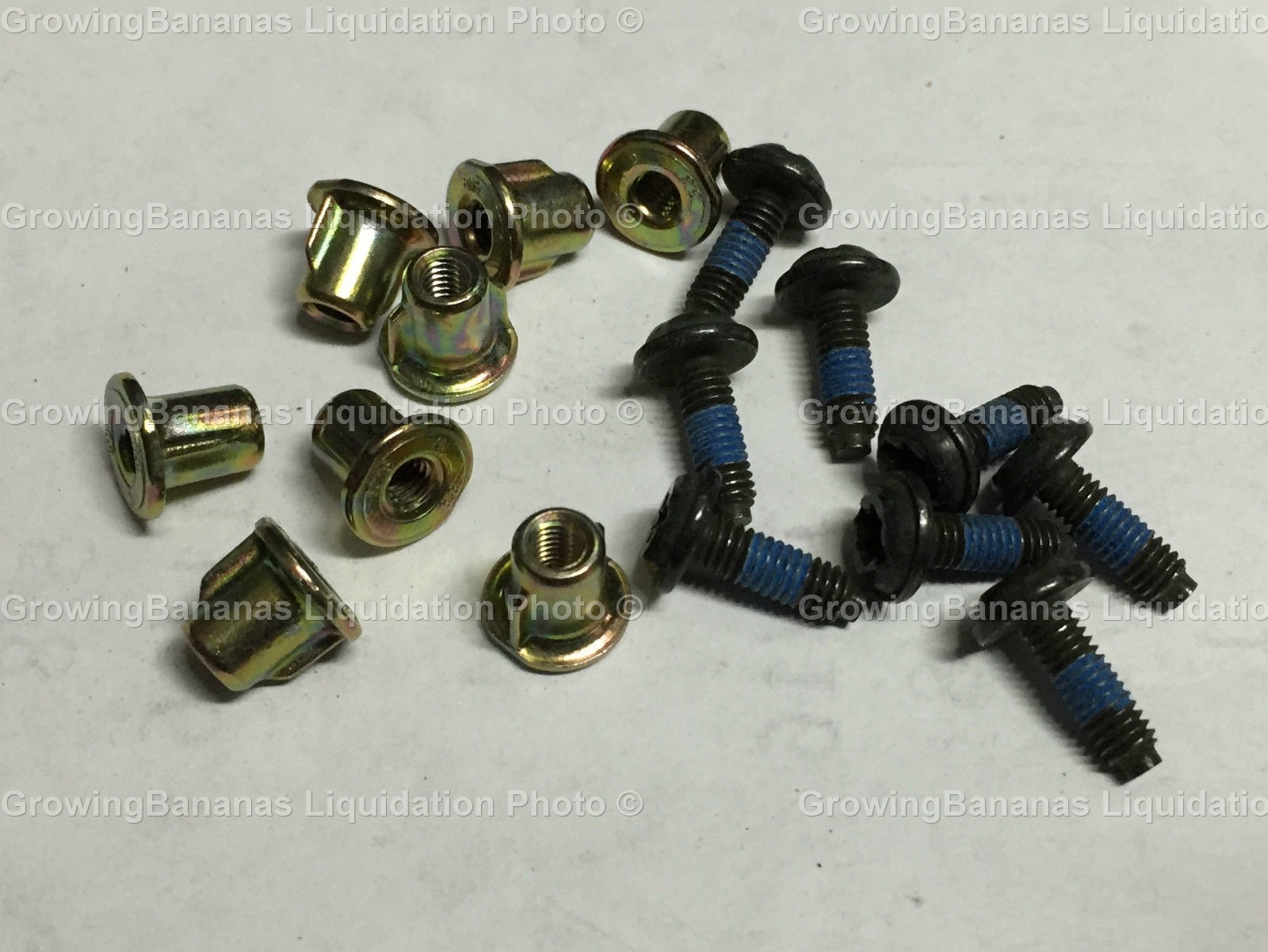 Graf Hockey Skates RMS Rivets Screw Set Assembly! Holder Runner Screws ...