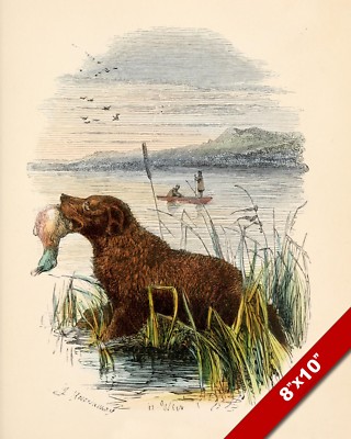 RETRIEVER GAME HUNTING DOG WITH DUCK AT POND ART PAINTING PRINT ON REAL ...