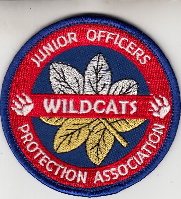 VFA-131 WILDCATS JOPA SHOULDER PATCH | eBay