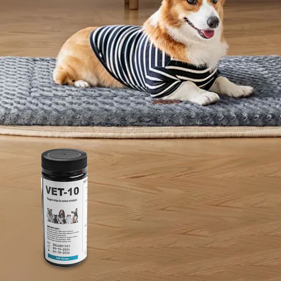 Pioneering Pet Care with Our Comprehensive Set of 100 Urine Test Strips ...