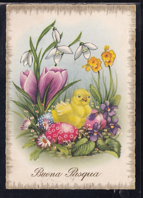 Cartolina Buona Pasqua Pulcino Uova Fiori ZB844 | eBay
